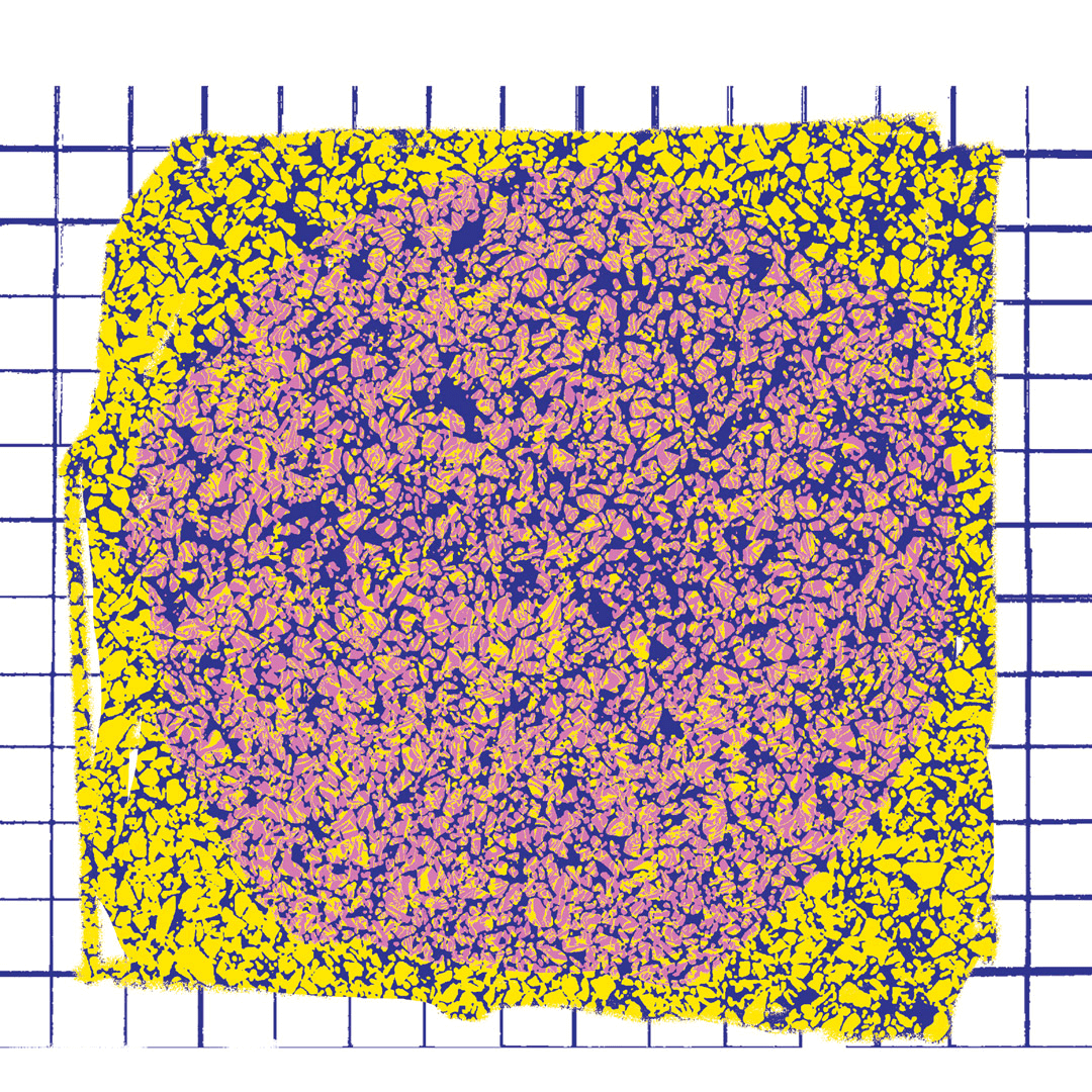Randomizer - Studio Auke